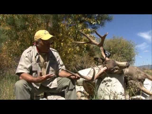 Milligan Brand - The Milligan Brand Movie